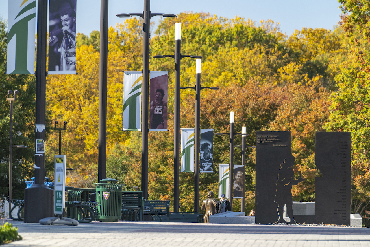 Request Individual Access - ASO Technology Services